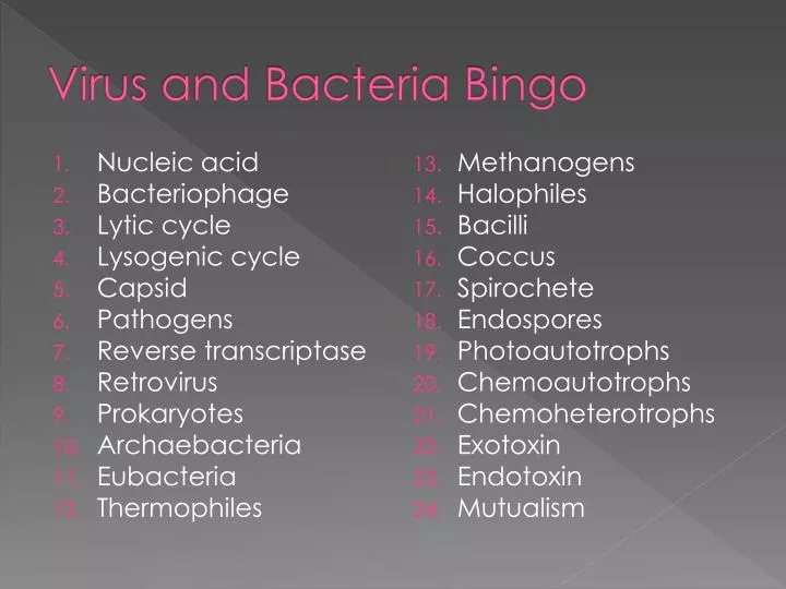 PPT - Virus and Bacteria Bingo PowerPoint Presentation, free download ...