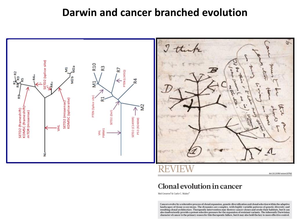 PPT - Predictive Biomarkers and Drug Resistance PowerPoint Presentation ...