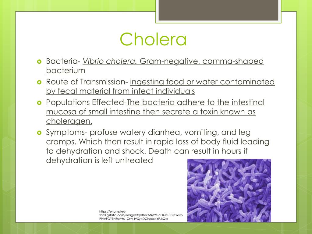 PPT - Food-Borne and Water-Borne Diseases PowerPoint Presentation, free ...