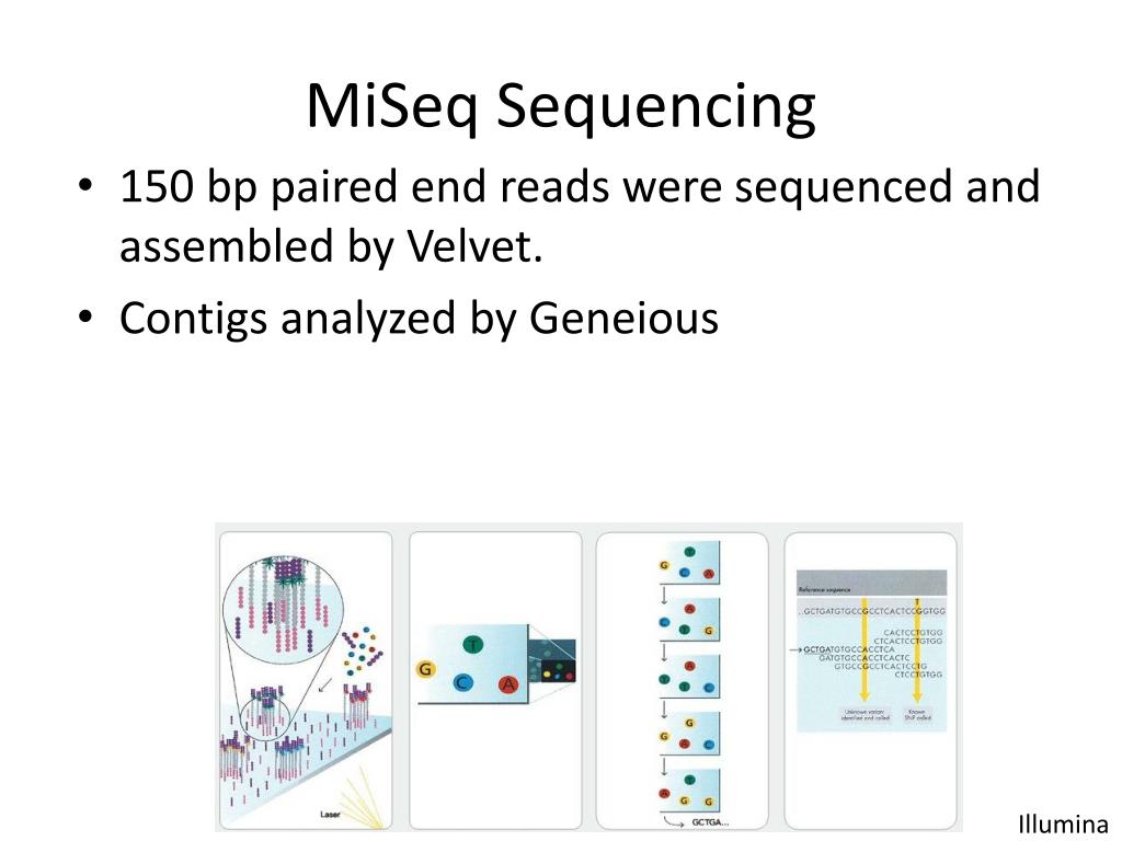 PPT - ACLAM Forum May 7, 2014 Alexander Sheh Division of Comparative ...