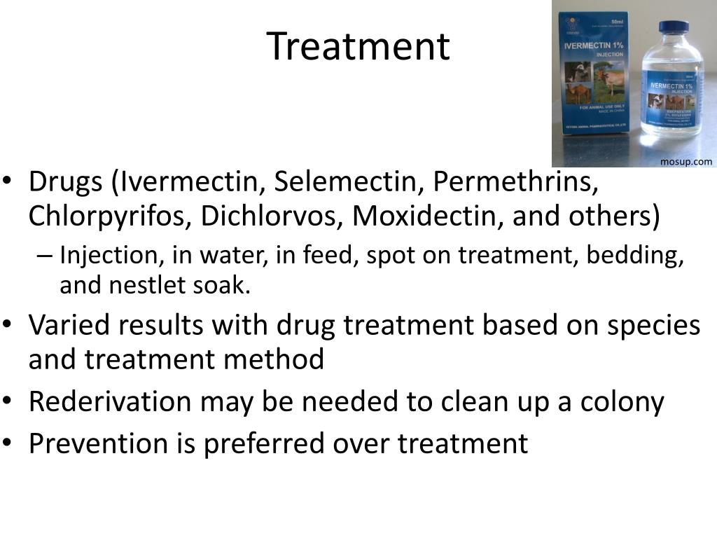 PPT - ACLAM Forum May 7, 2014 Alexander Sheh Division of Comparative ...