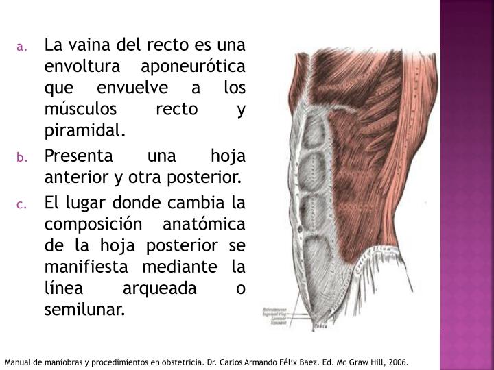 PPT - Pared abdominal y canal inguinal PowerPoint Presentation - ID:2188472