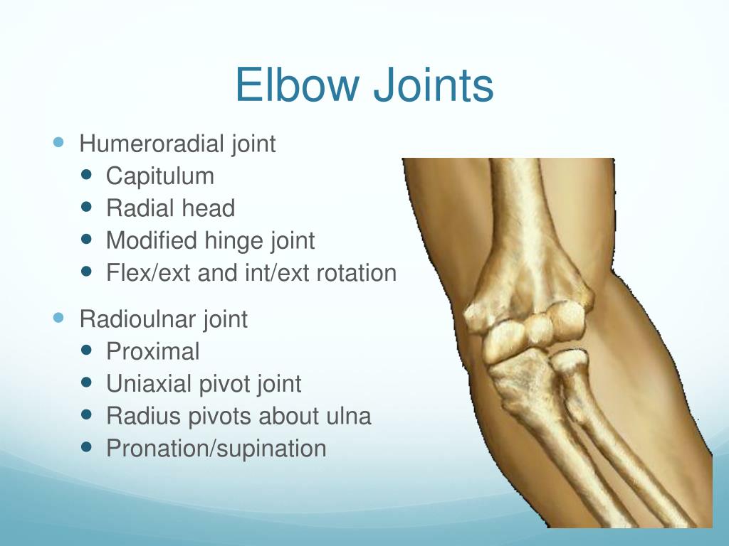 Anterior Elbow Anatomy Bone