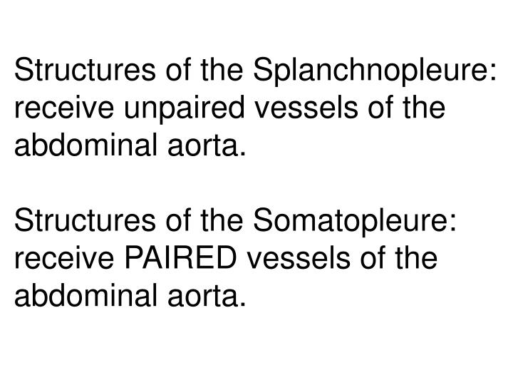 PPT - Biology 323 Human Anatomy for Biology Majors Lecture 11 Dr ...