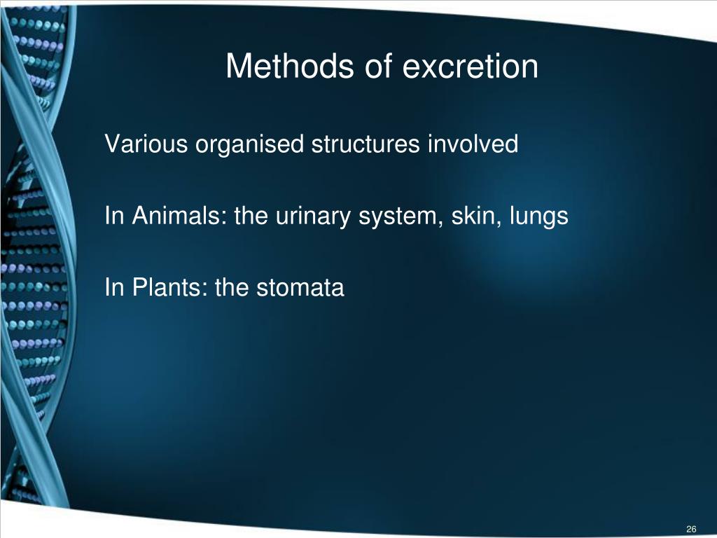 PPT - Characteristics of Life PowerPoint Presentation, free download ...