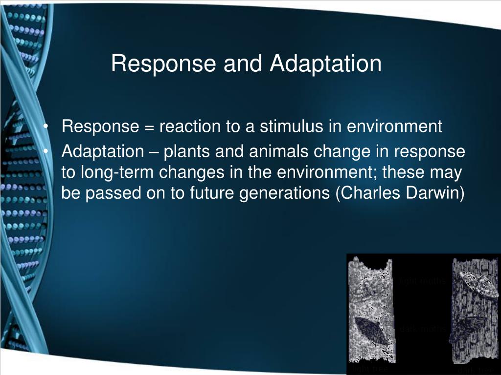 PPT - Characteristics of Life PowerPoint Presentation, free download ...