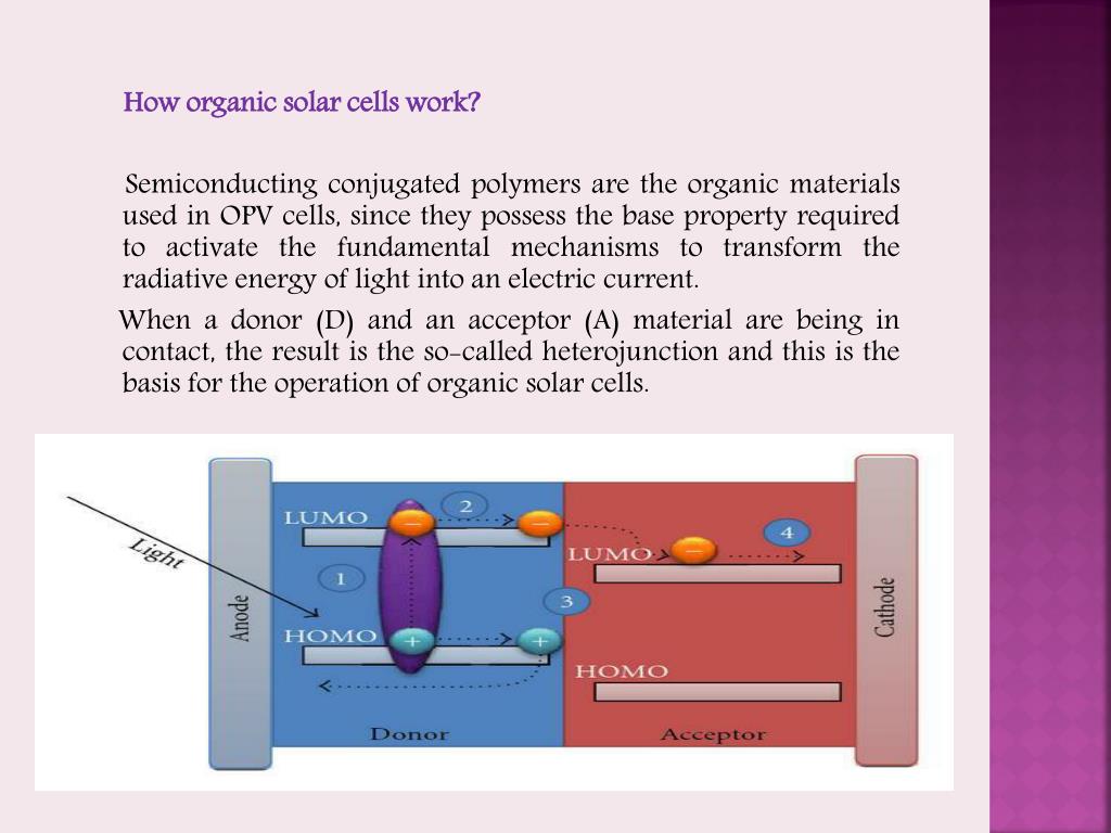 PPT - ORGANIC SOLAR CELL ( organıc PHOTOVOLTAIK CELL) PowerPoint ...
