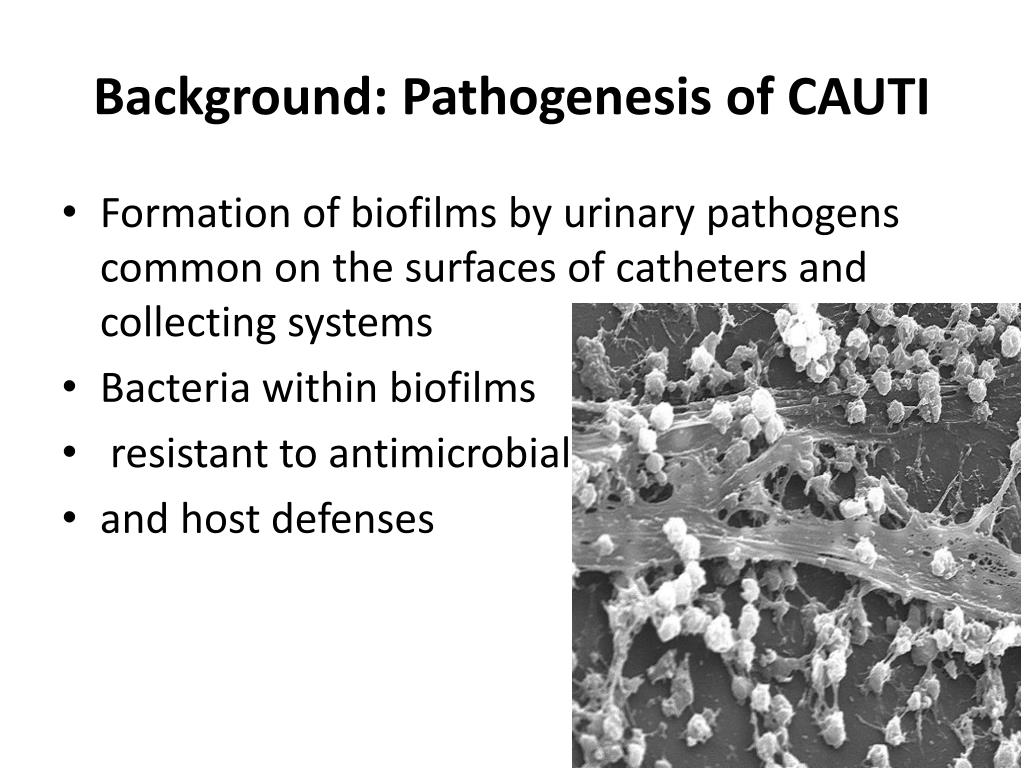 PPT - Health Care-associated Infection (HCAI) PowerPoint Presentation ...