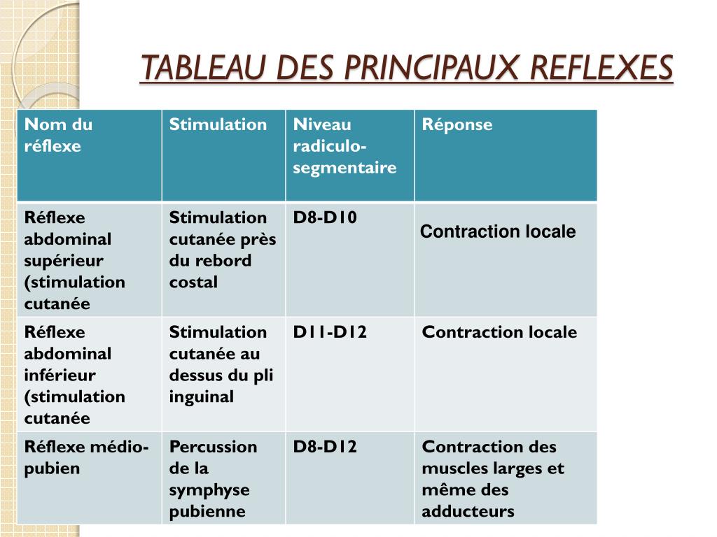 PPT - Neurologie et soins infirmiers BELKAS AHMED IFCS DE Casablanca tél 06 61 95 42 48 ...
