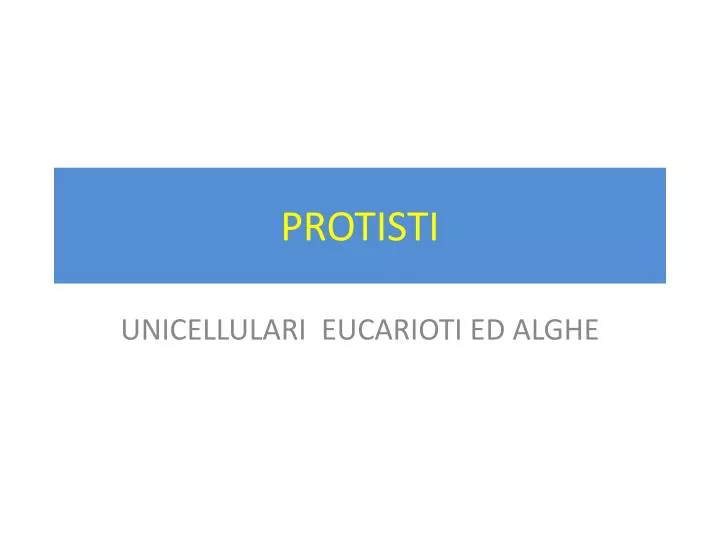 PPT - PROTISTI PowerPoint Presentation, free download - ID:2189436