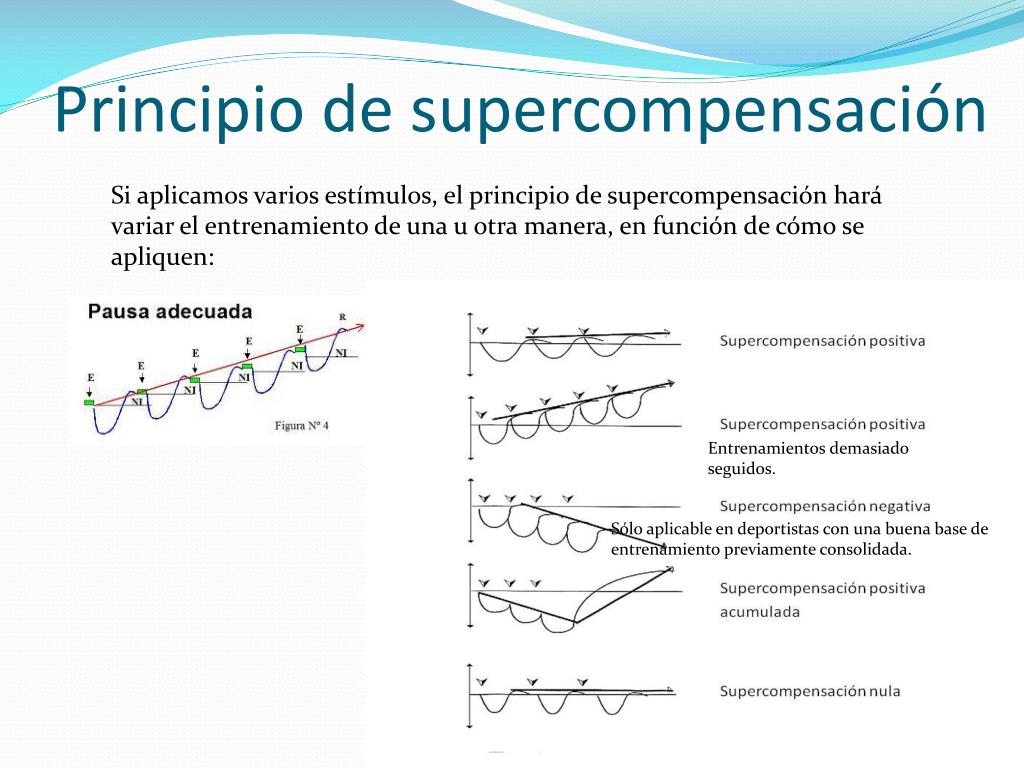 PPT - El entrenamiento deportivo. PowerPoint Presentation, free ...