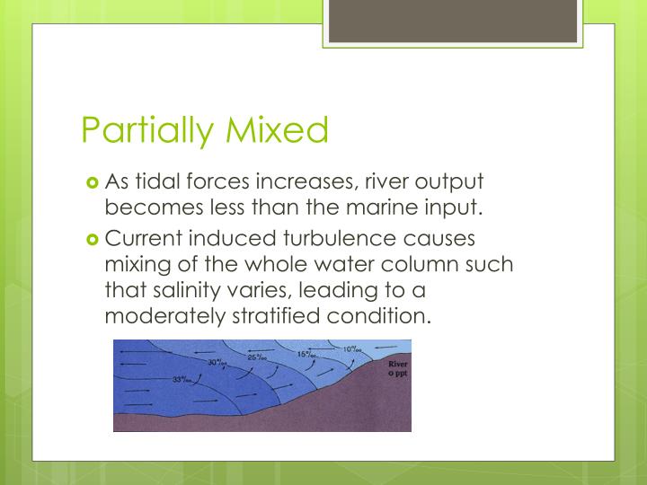 PPT - Estuaries PowerPoint Presentation - ID:2190434