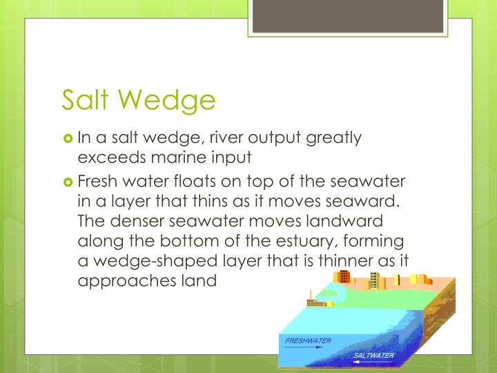 PPT - Estuaries PowerPoint Presentation - ID:2190434