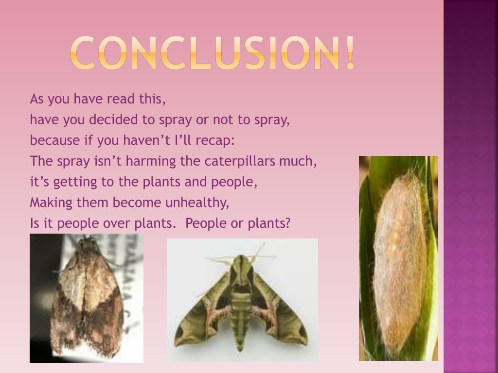 PPT - To spray or not to spray? By Tamara Hayler PowerPoint ...