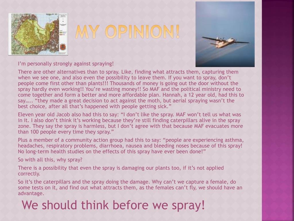 PPT - To spray or not to spray? By Tamara Hayler PowerPoint ...