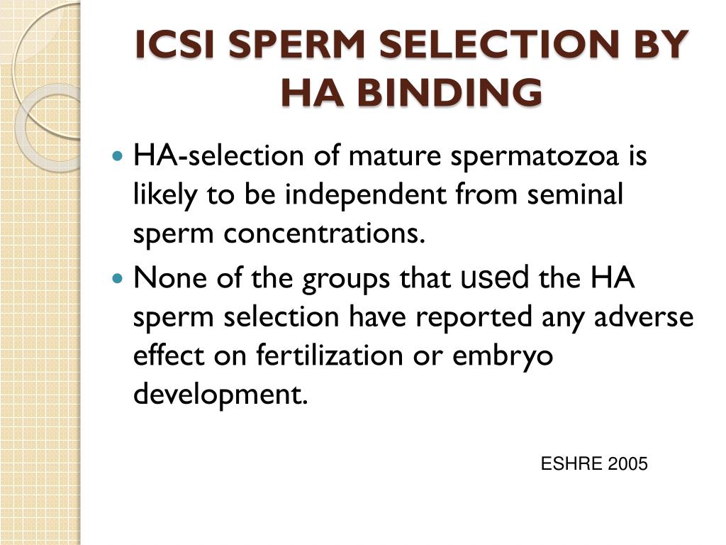 PPT - THE NOVEL METHOD FOR MATURE SPERM SELECTION IN ICSI (PICSI –DISH ...