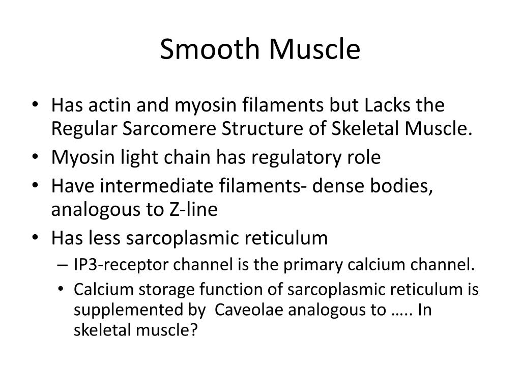 PPT - WINDSOR UNIVERSITY SCHOOL OF MEDICINE PowerPoint Presentation ...
