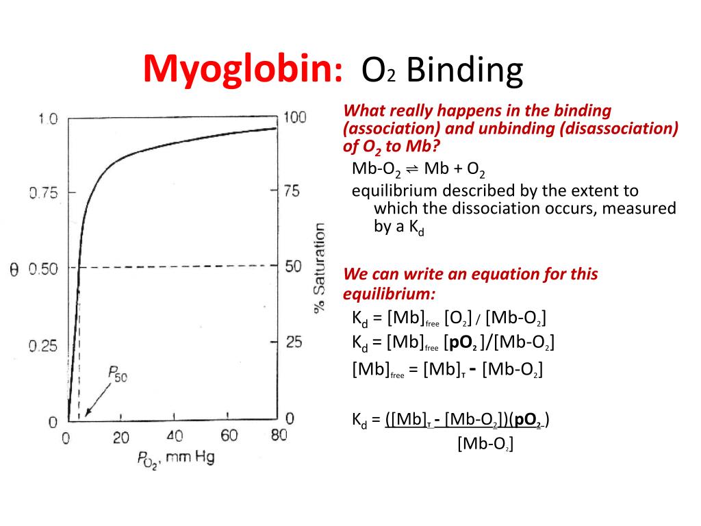 PPT - Chemical Biology 03 BLOOD PowerPoint Presentation, free download ...