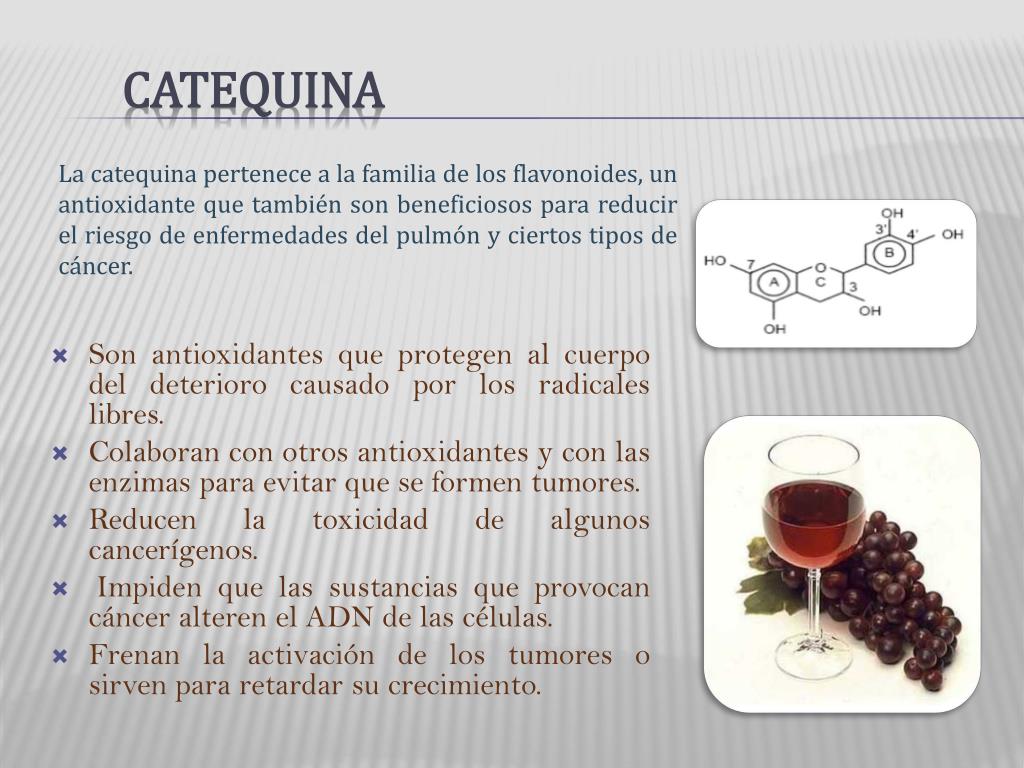 PPT - Universidad Central del Ecuador Facultad de Ciencias Químicas ...