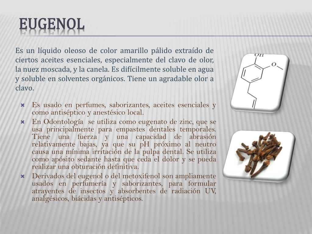 PPT - Universidad Central del Ecuador Facultad de Ciencias Químicas ...