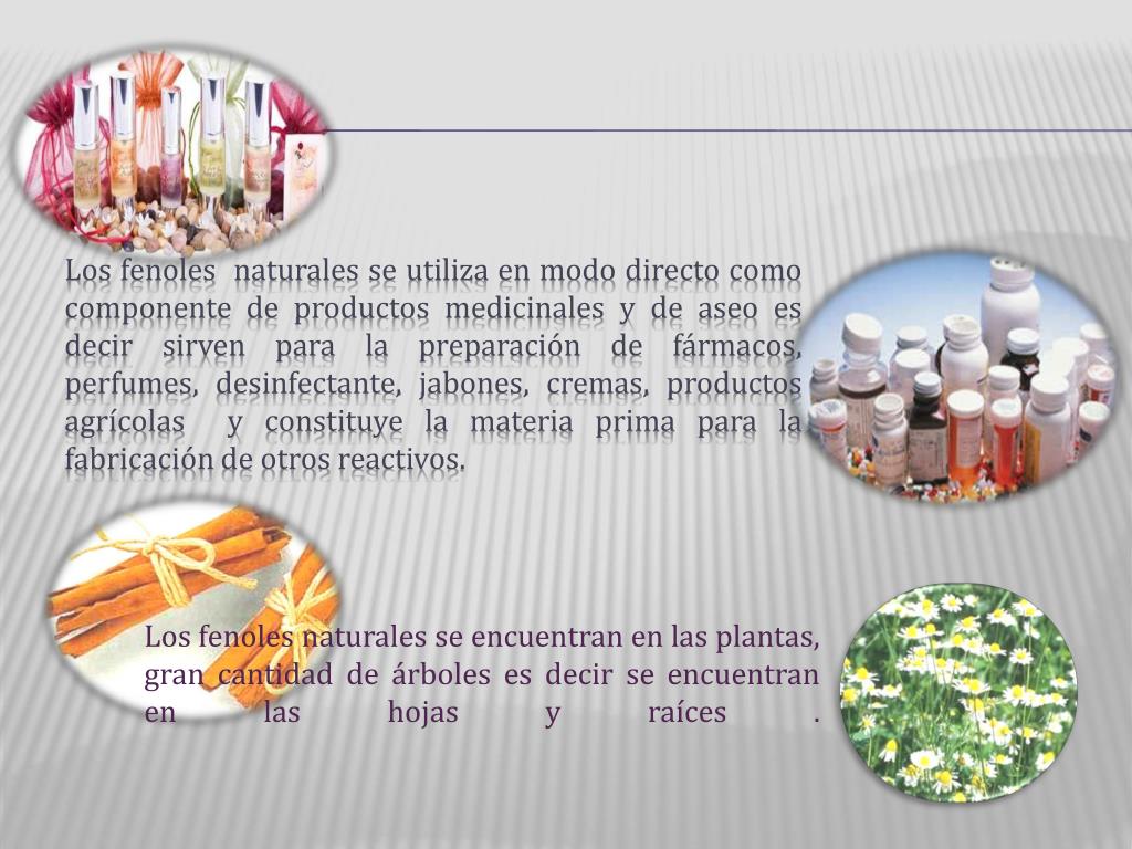 PPT - Universidad Central del Ecuador Facultad de Ciencias Químicas ...