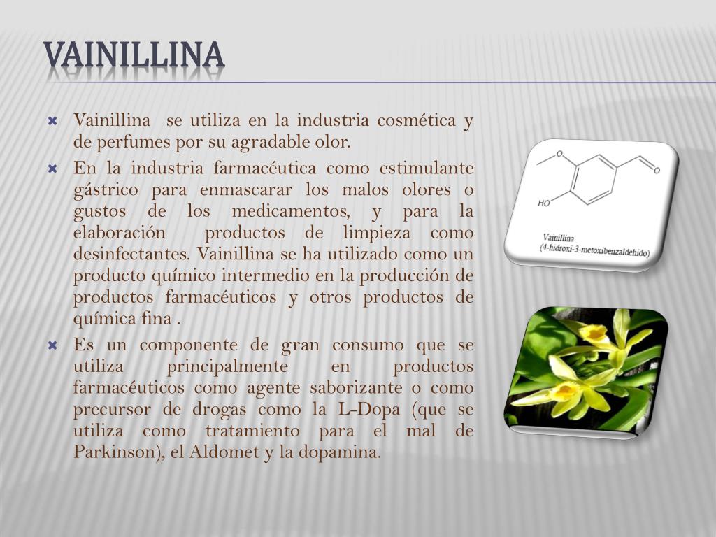 PPT - Universidad Central del Ecuador Facultad de Ciencias Químicas ...