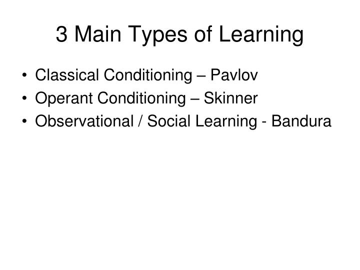 81 Learning By Association Classical Conditioning