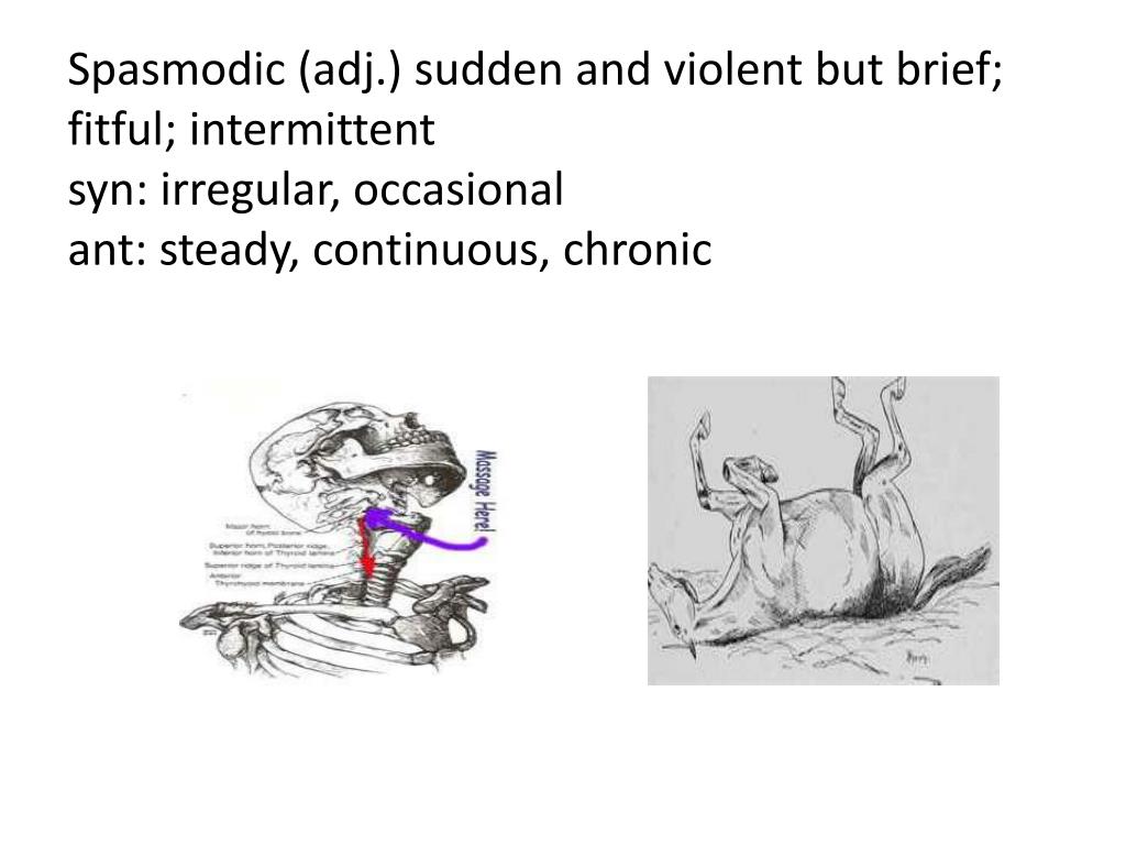 PPT - Brigand (n.) a bandit, robber, outlaw, highwayman PowerPoint ...