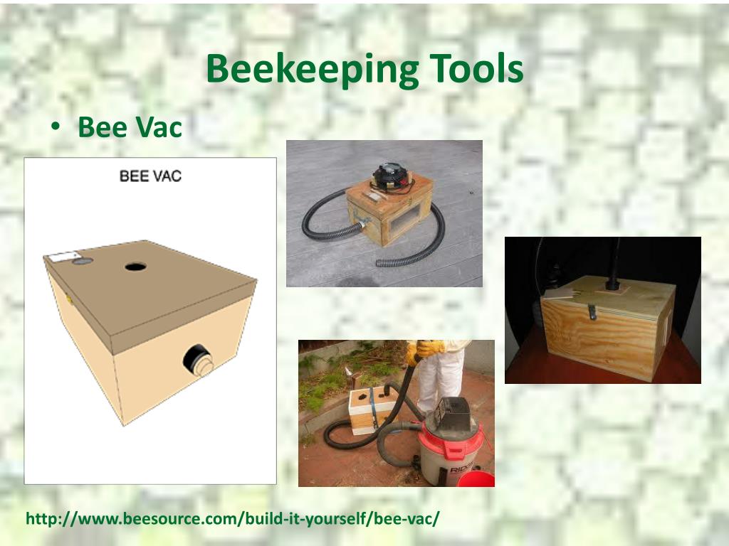 PPT - Winter Beekeeping Activities Equipment and Supplies You Can Build ...