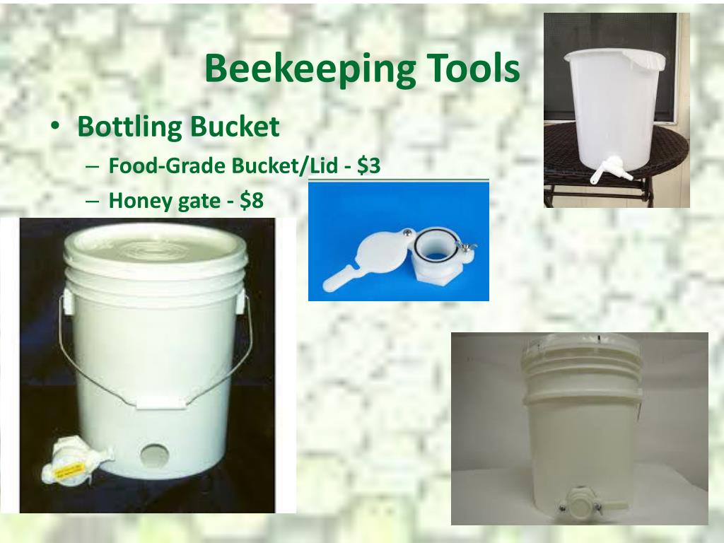 PPT - Winter Beekeeping Activities Equipment and Supplies You Can Build ...