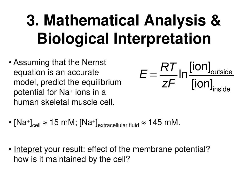 PPT - 10 Equations in Biology: The Nernst Equation PowerPoint ...