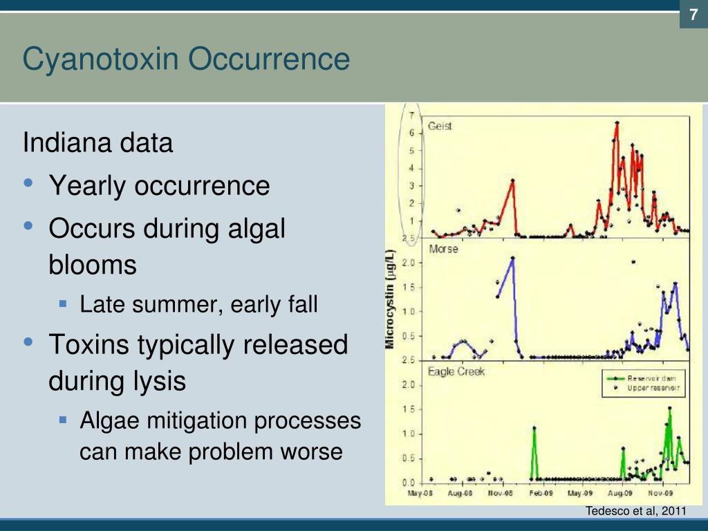 PPT - UV Advanced Oxidation for Treatment of Taste and Odor and Algal ...