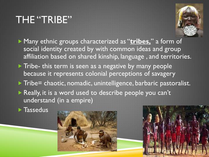 PPT - Sub-Saharan Africa PowerPoint Presentation - ID:2192577