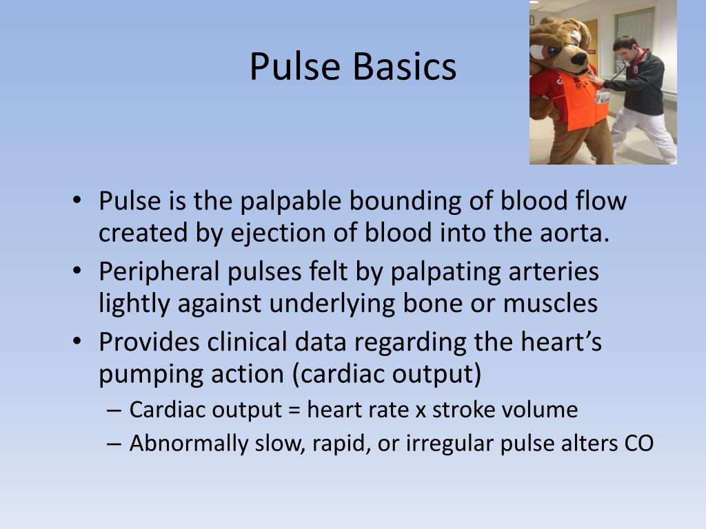 PPT - NRS 103 Vital Signs, Measurements, Cultural Diversity, and Pain ...