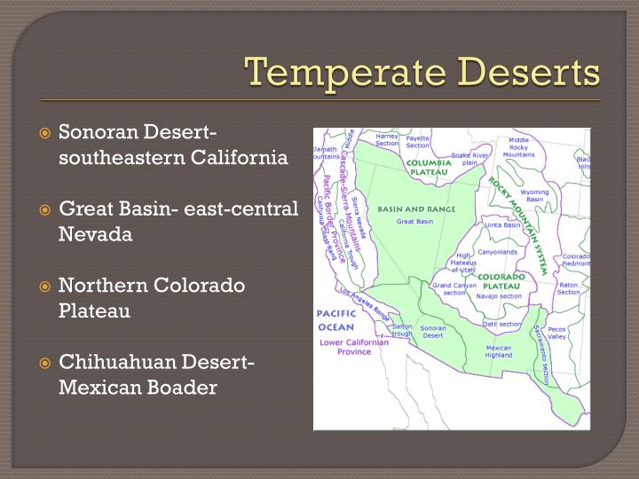 PPT - Temperate Desert Biome PowerPoint Presentation - ID:2193113