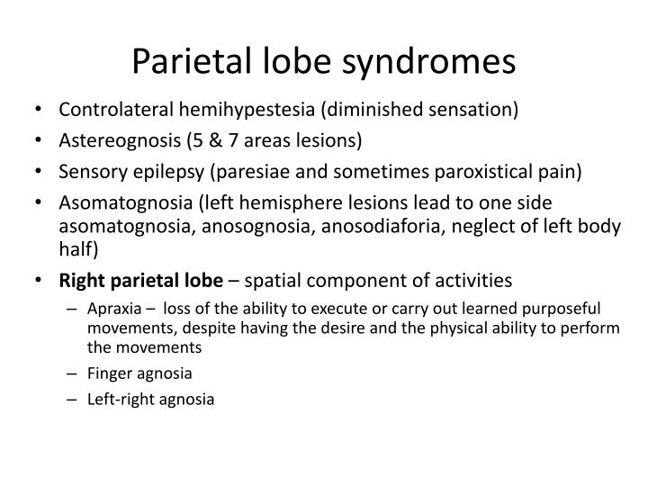 PPT - Parietal lobe PowerPoint Presentation - ID:2194308