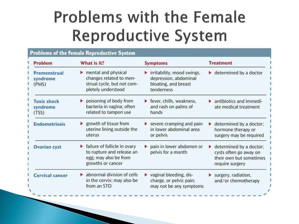 PPT - The Wonderful World of Sex PowerPoint Presentation, free download ...