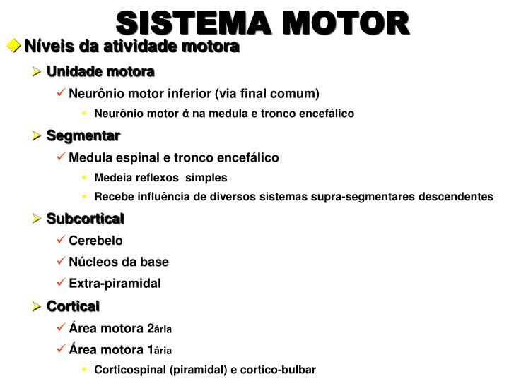 PPT - SEMIOLOGIA NEUROLÓGICA III PowerPoint Presentation - ID:2194745