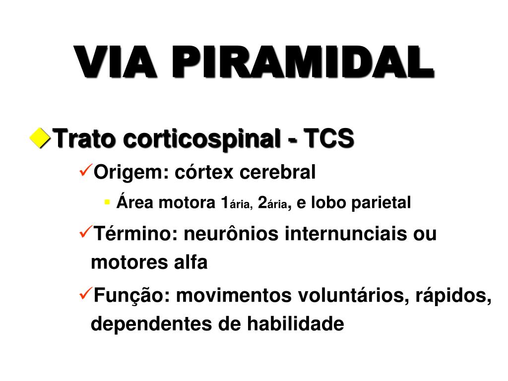 PPT - SEMIOLOGIA NEUROLÓGICA III PowerPoint Presentation, free download ...