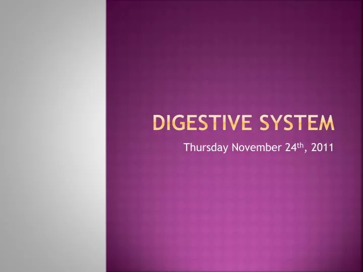 PPT - Digestive System PowerPoint Presentation, free download - ID:2194907