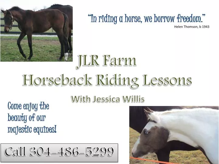PPT - JLR Farm Horseback Riding Lessons PowerPoint Presentation, free ...