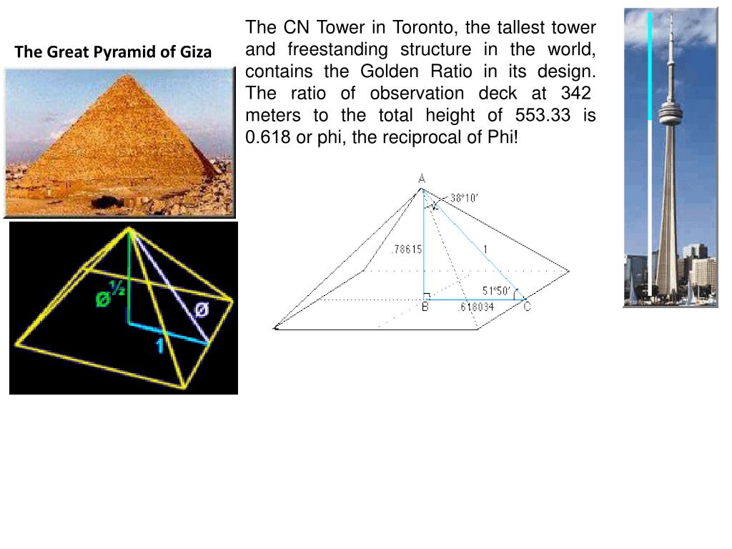 PPT - The Golden Ratio: From Physics to the Human Brain, Behavior ...