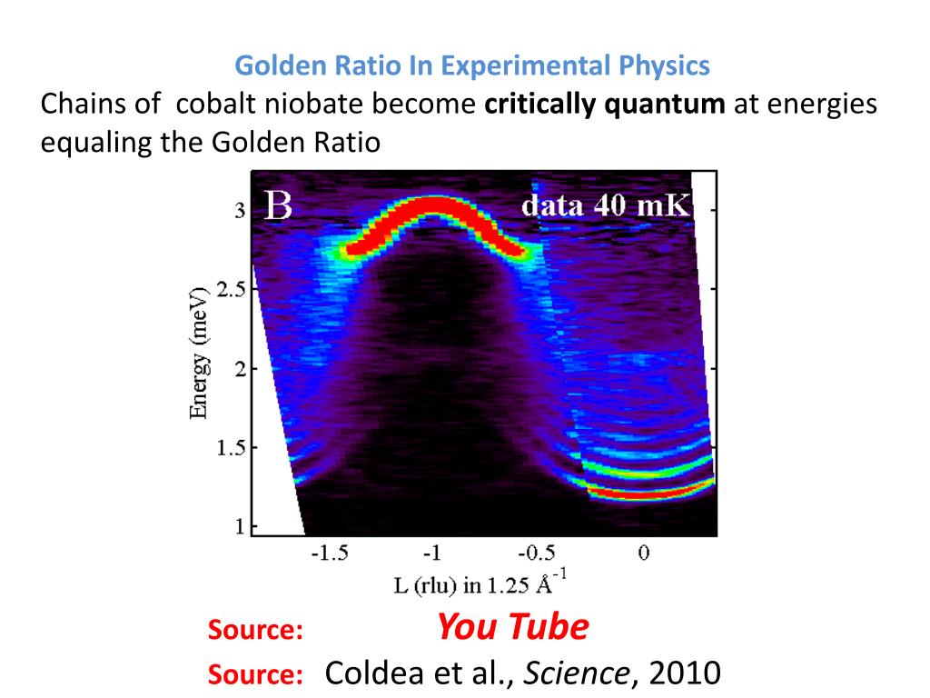 PPT - The Golden Ratio: From Physics to the Human Brain, Behavior ...