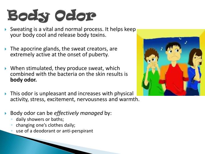 PPT - The Importance of Hygiene PowerPoint Presentation - ID:2195953