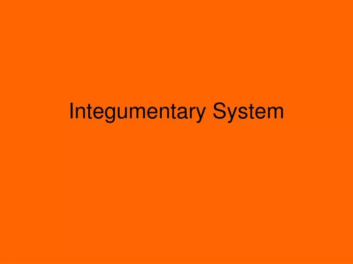 PPT - Integumentary System PowerPoint Presentation, free download - ID ...