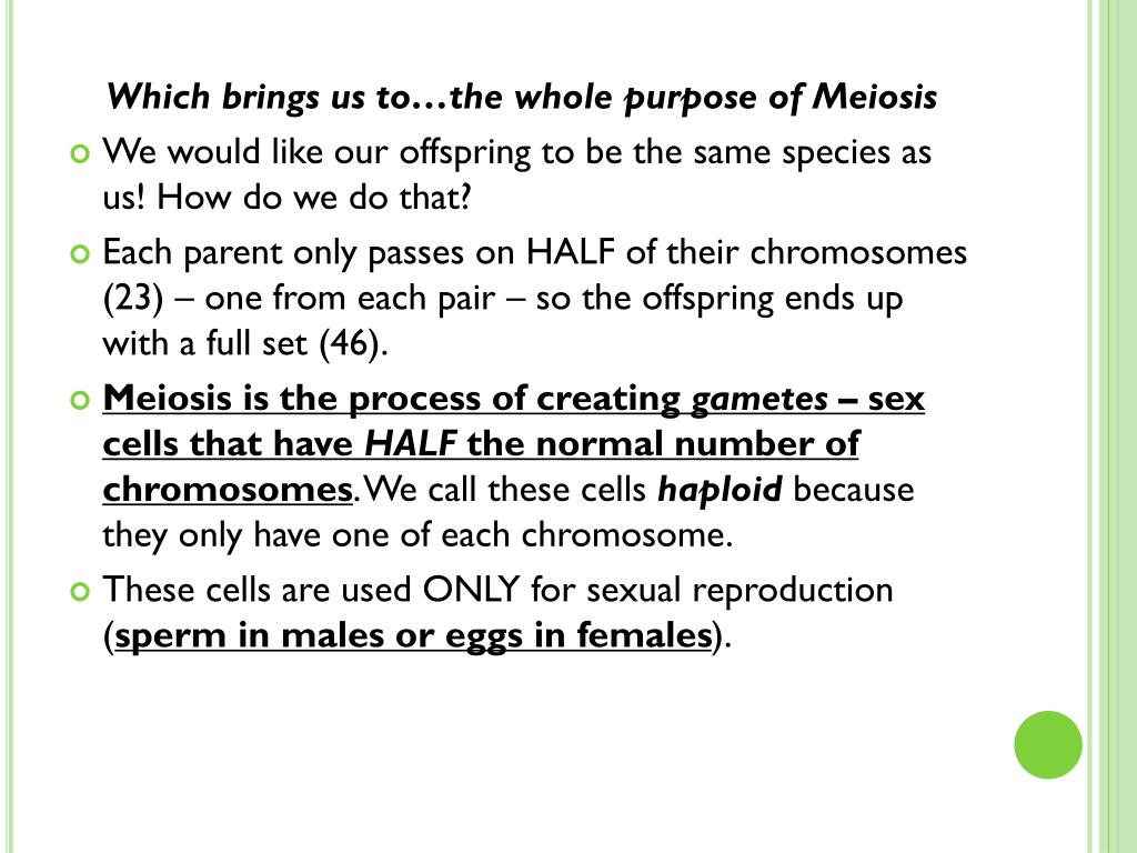 PPT - ### Understanding Meiosis: Cell Division and Genetic Inheritance ...