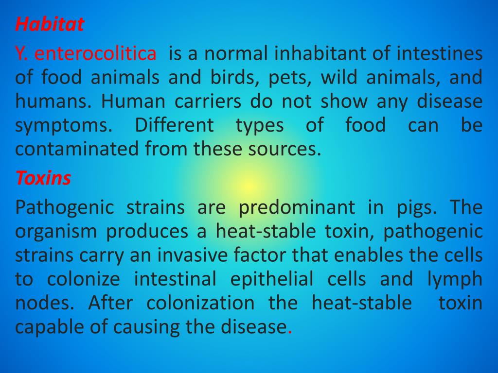 PPT - Yersiniosis Yersinia enterocolitica PowerPoint Presentation, free ...