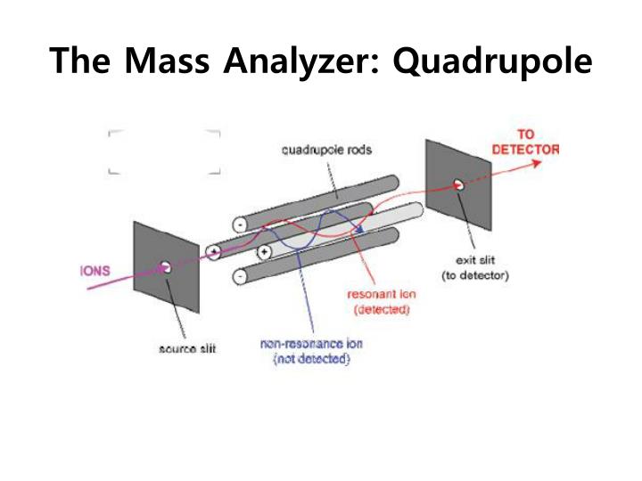 PPT - Mass Spectrometry PowerPoint Presentation - ID:2197253