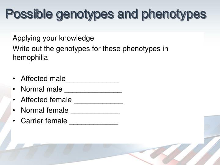 Genotypes And Phenotypes