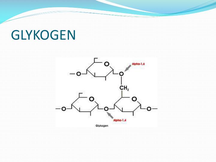 PPT - METABOLISM PowerPoint Presentation - ID:2197462